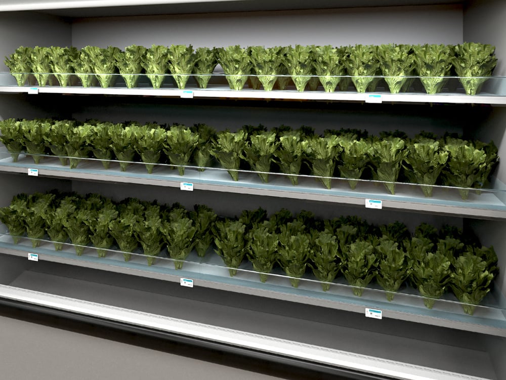 Grocery Retail Display Solutions | Kinter